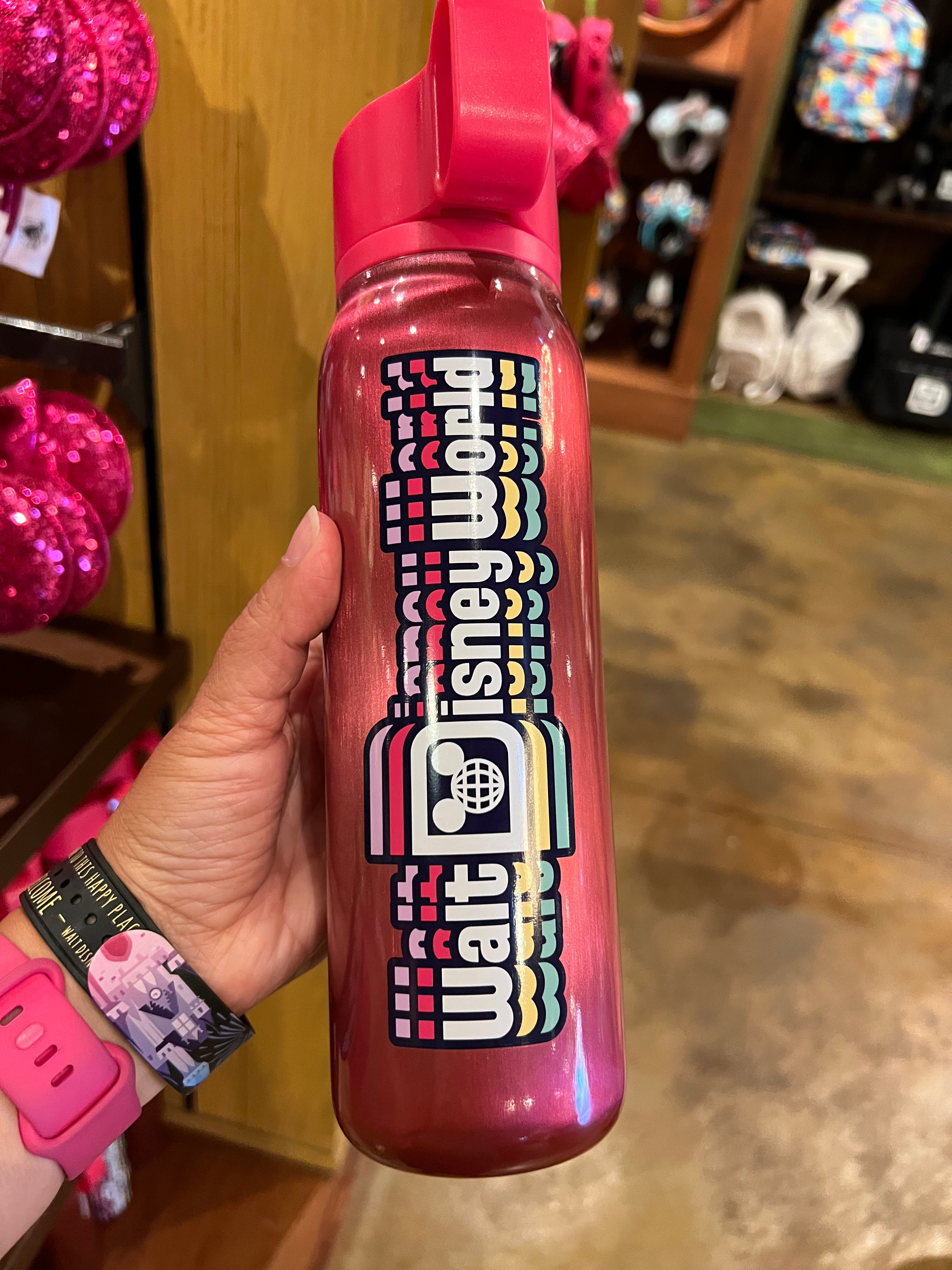 Magenta Walt Disney World Logo Metal Water Bottle – Shopping the Parks